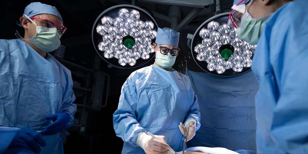 Journey Begins for Florida Residents at Mayo Clinic School of Graduate ...