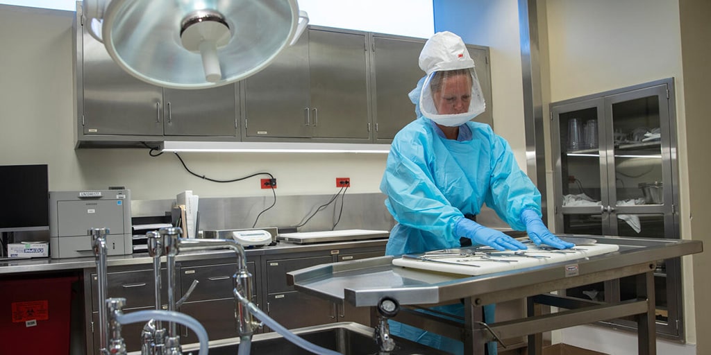 Curriculum - Anatomic and Clinical Pathology Residency (Florida) - Mayo ...