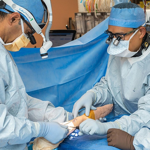 Hand Surgery Fellowship (Minnesota) - Residencies and Fellowships - Mayo Clinic College of ...